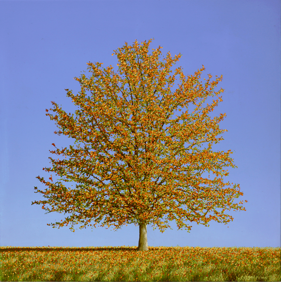 gallery | Nigel Wood