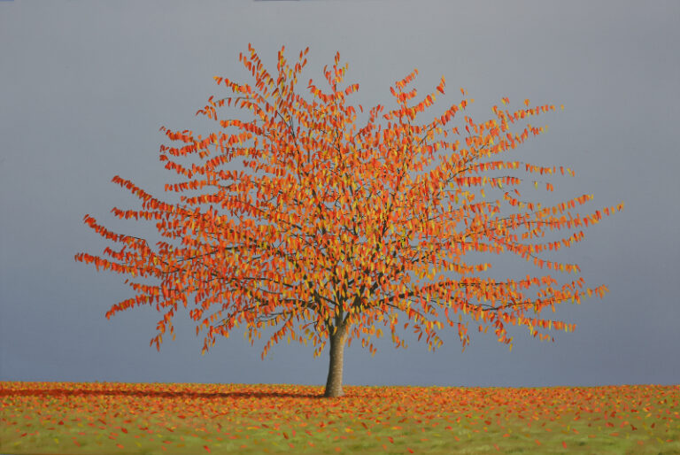 gallery | Nigel Wood