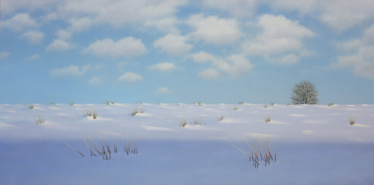 gallery | Nigel Wood