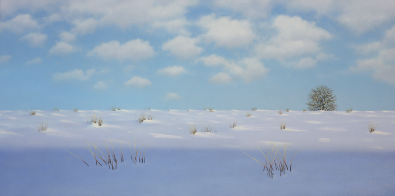 gallery – Nigel Wood