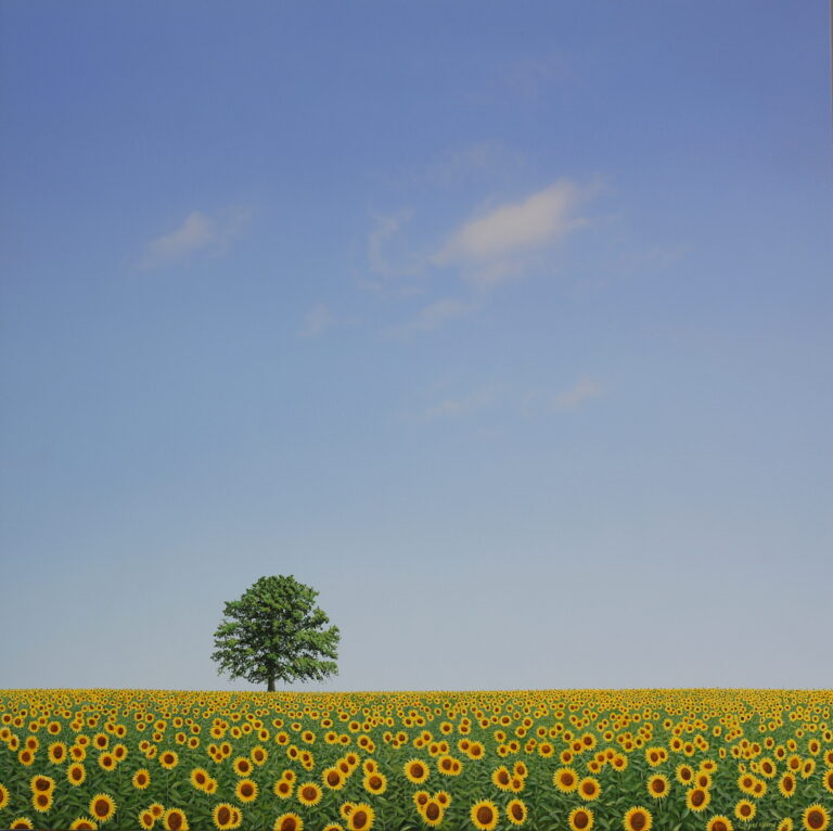 gallery | Nigel Wood