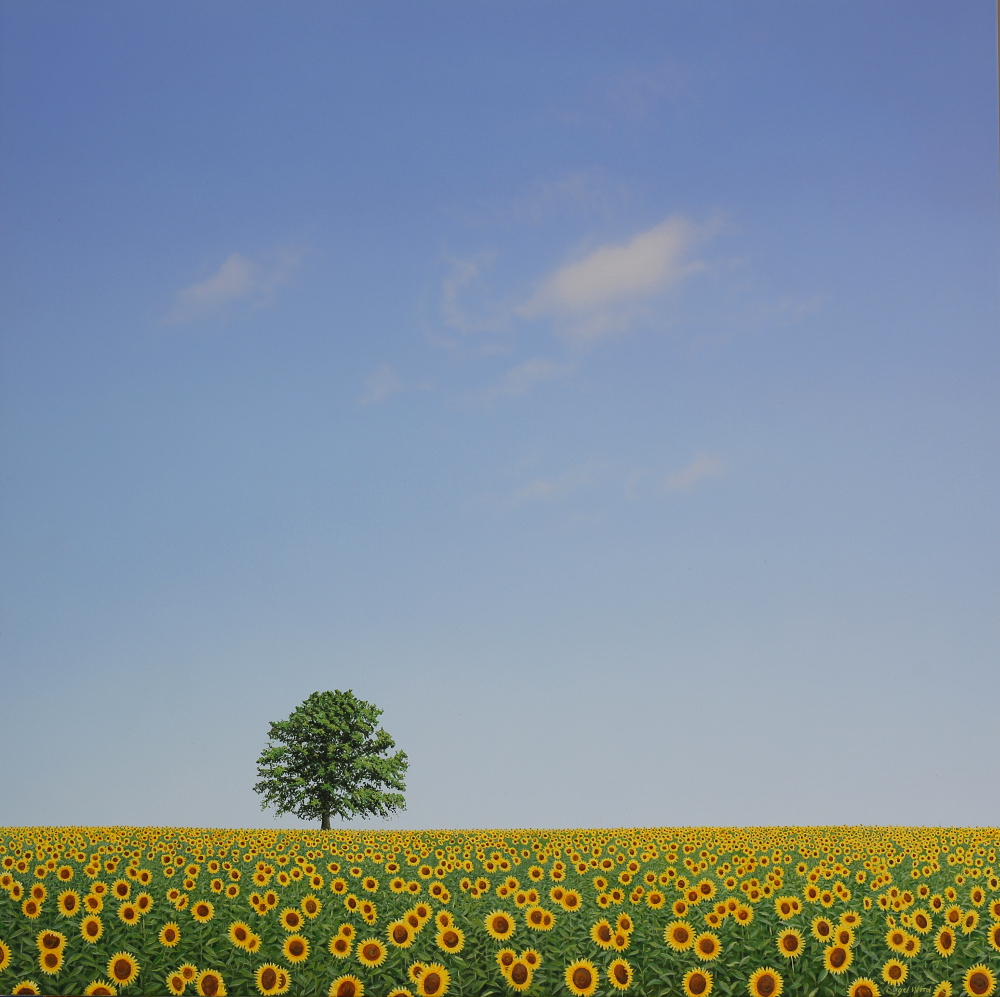 gallery | Nigel Wood