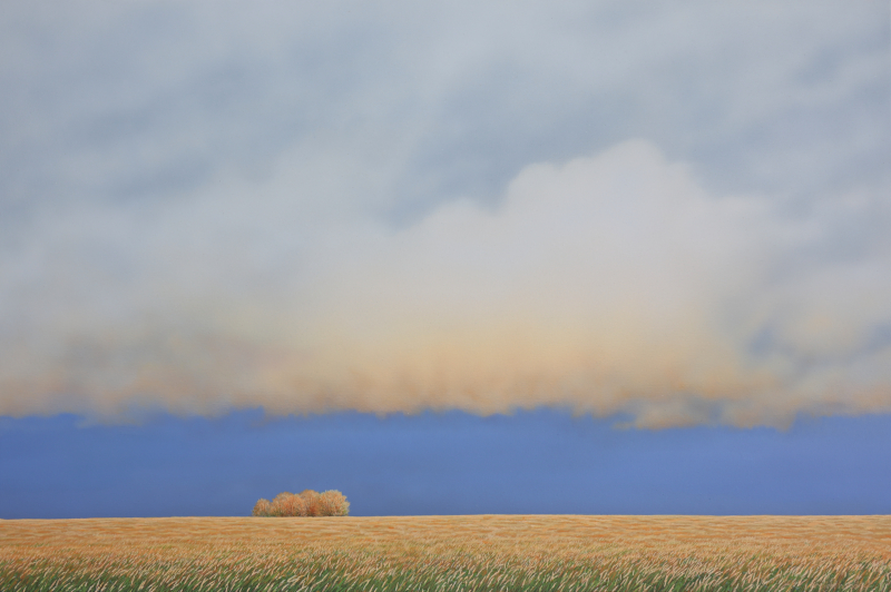 gallery | Nigel Wood