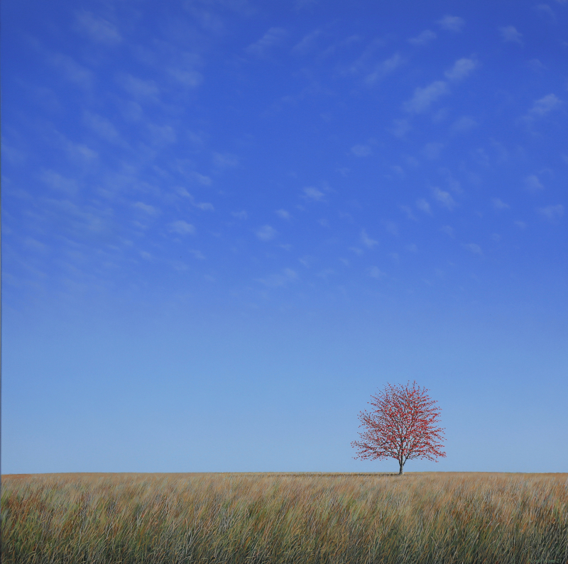 gallery | Nigel Wood