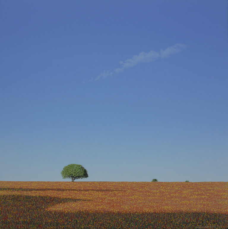 gallery | Nigel Wood