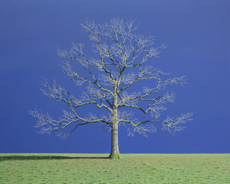 gallery | Nigel Wood