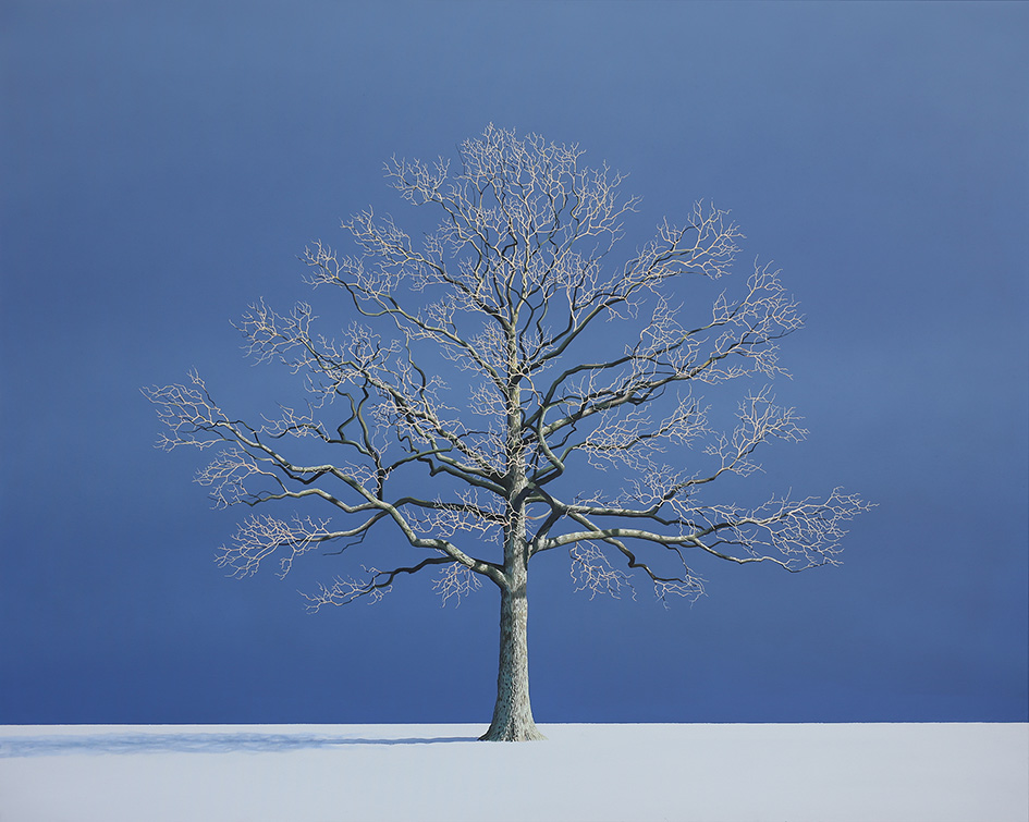 gallery – Nigel Wood