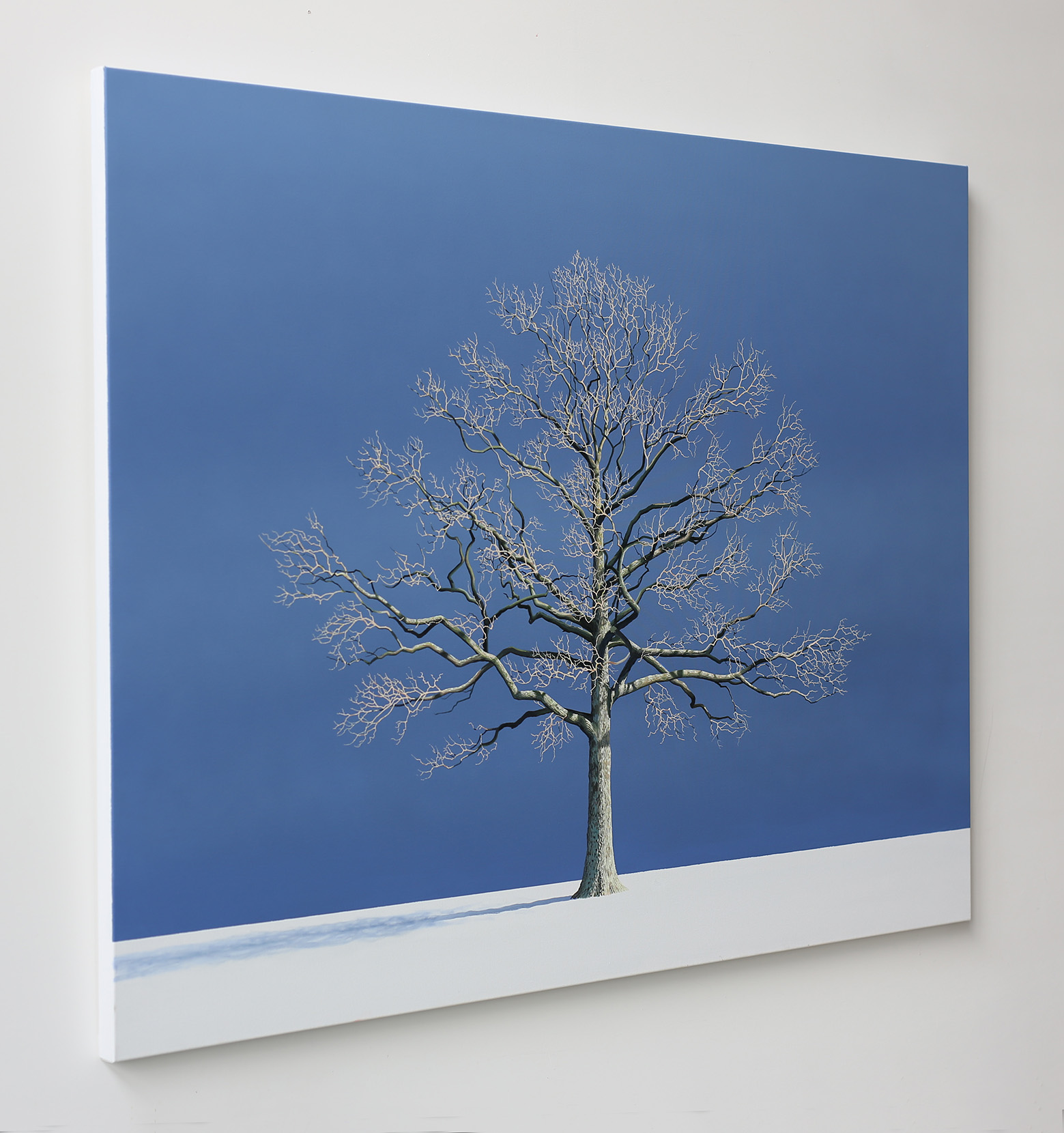 OAK – Nigel Wood