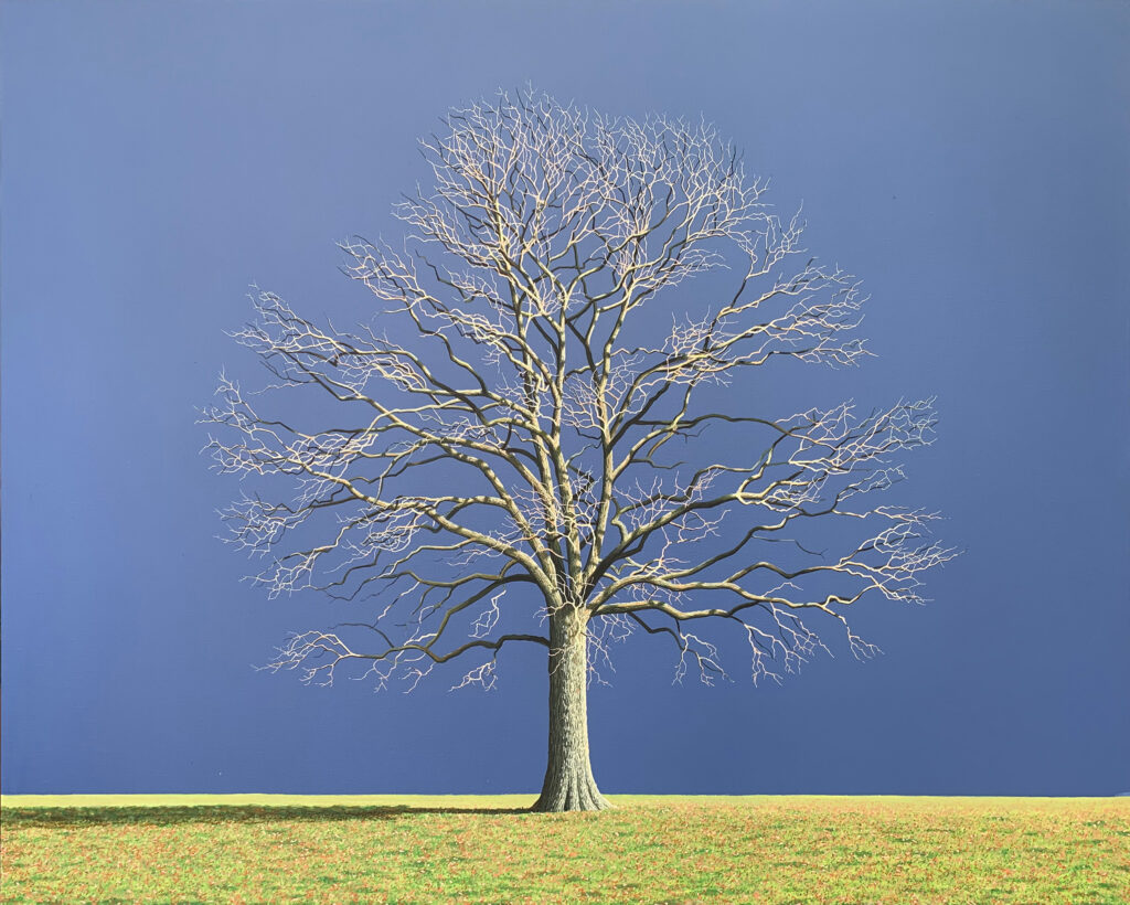 OAK TREE – Nigel Wood