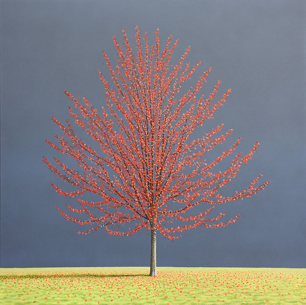 gallery – Nigel Wood