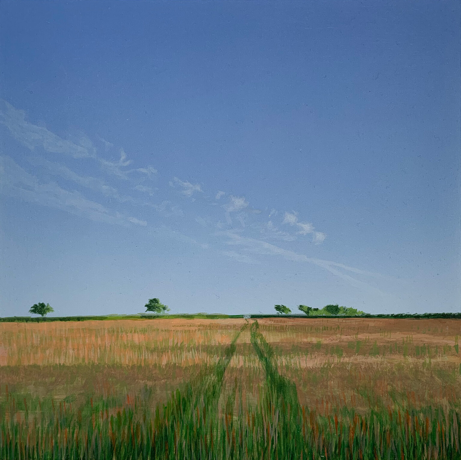 FIELD II – Nigel Wood