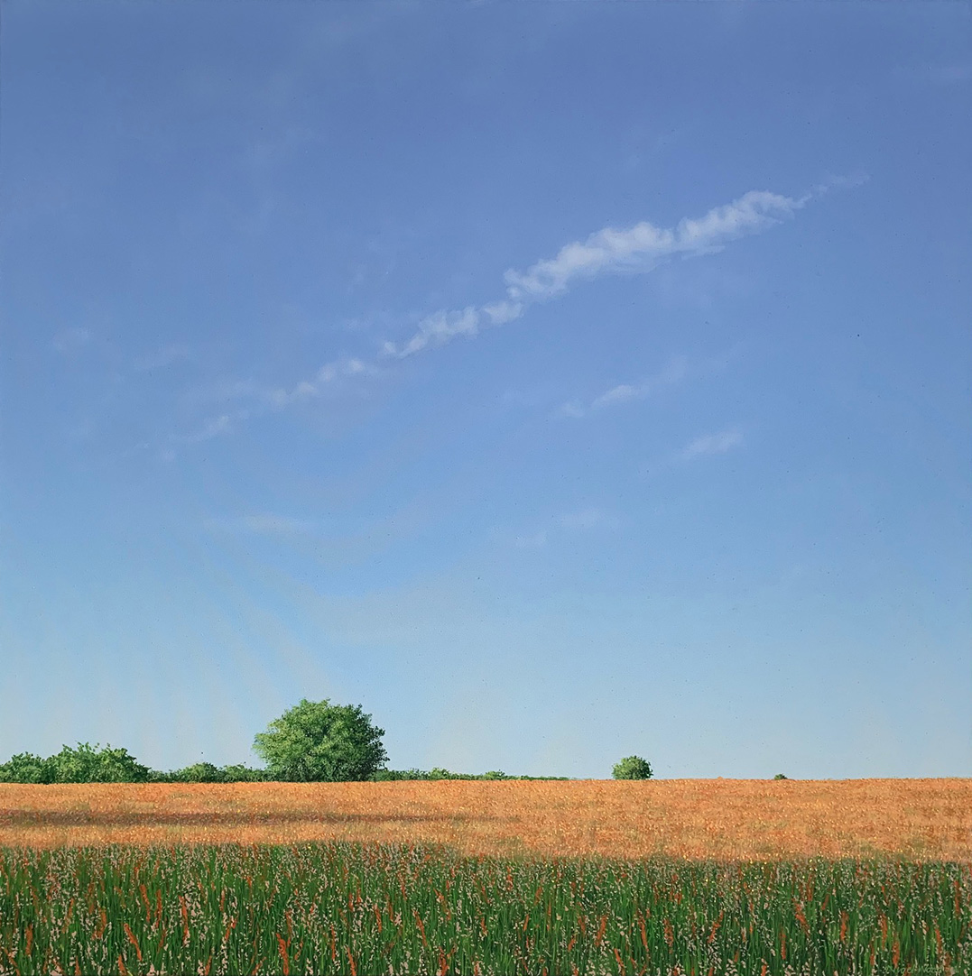 gallery – Nigel Wood