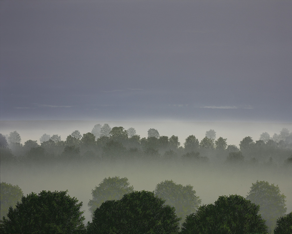 gallery – Nigel Wood