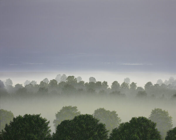 gallery – Nigel Wood